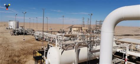 Is Data The New Oil Yubi