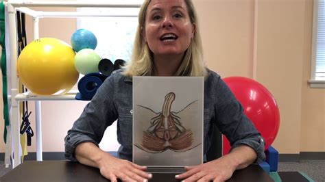 Erectile Dysfunction And Physical Therapy Connect PT YouTube