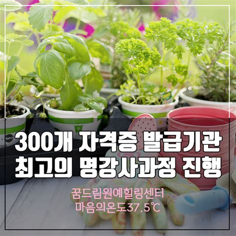 300개자격증발급기관 자격증발급전문기관전북전남 취업여성노인일자리지원강사파견전문기관원예미술향기테라피국제평생교육연합회 호남지부한국직업능력개발원원예키트전국배송
