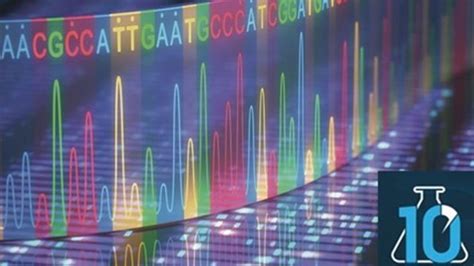 an overview of ngs adapters for ligation based library preparation