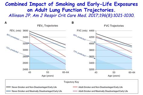 What Lung Function Ultrasound Physiology Bronchoscopy Pptx