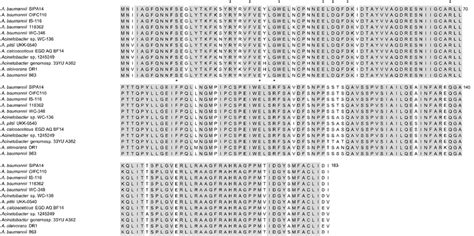 Multiple Sequence Alignment Of Autoinducer Synthase Protein Sequence Of