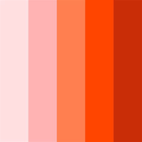 Bright Pink And Coral Color Palette Colordrop