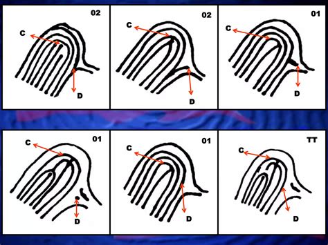 Fingerprint Classification Loop Patterns PPTX