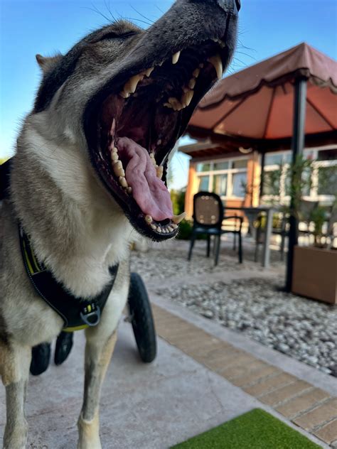 Thomas Colussa Thomas Colussa Added A New Photo — At