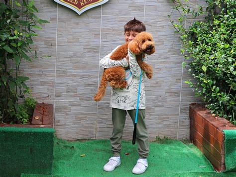 Yıldırım Ailesinin Minik Dostu Çibi Eğitimlerini Tamamladı Elit Yavru