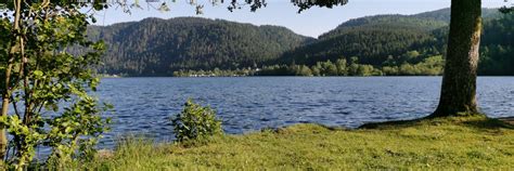 Tossnet Bsky Social On Bluesky