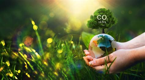 Charting A Greener Path Effective Decarbonization Strategies For A