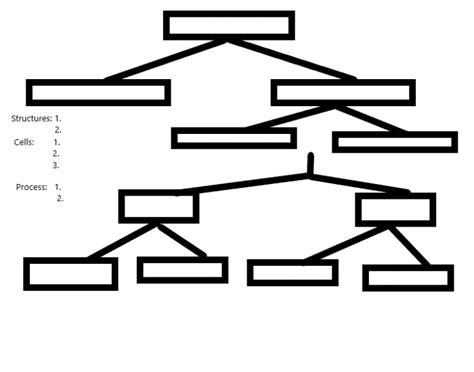 Immunity Chart Quiz