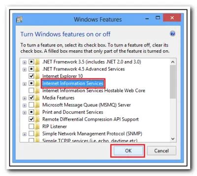 Turn On IIS Or Internet Information Services On Windows Server