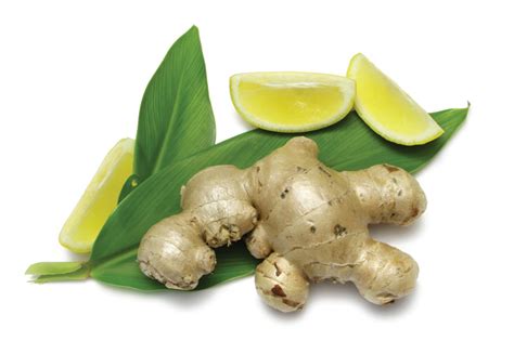 Имбирь для похудения рецепты самые эффективные