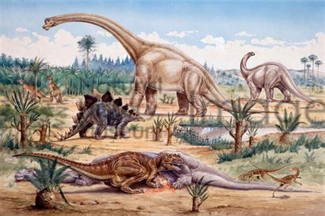 Brachiosaurus Vs Diplodocus Giant Differences Explained Dino World