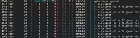 Bug Creating Custom Healthcheck With Wget Results In 100s Of Zombie