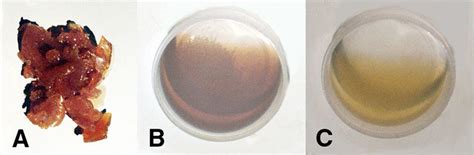 A Unsaturated Fatty Acid Lipid Oils Benzoyl Peroxide Free Radical