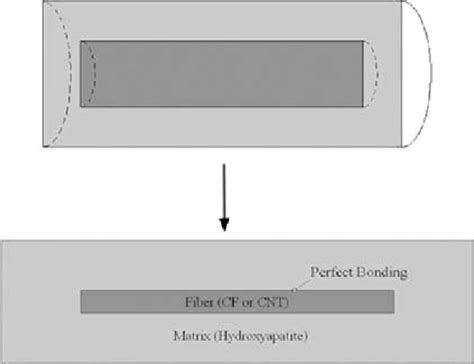 Concept Of The 2d Comparative Finite Element Models Download Scientific Diagram