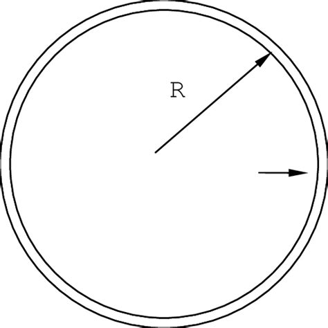 A Section Of A Cortex Of A Plant Download Scientific Diagram