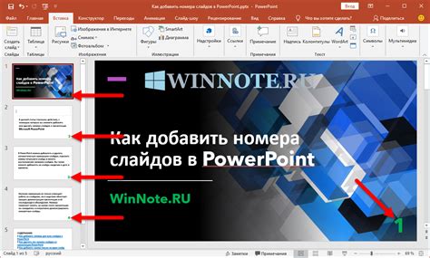 Как добавить номера слайдов в Powerpoint
