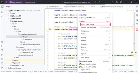Mybatis Xml映射配置方法重载的话maybtis怎么映射到xml里的 Csdn博客