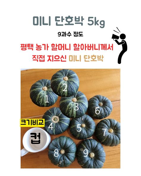 미니단호박 🎃 평택 할머니 할아버지께서 농사 지으신 미니 단호박 5키로 9과수 정도 되고 배송비는 5키로 마다 부과