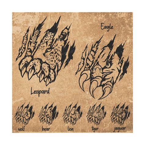 Animal Claws Png Claw Lion Png Claw Wolf Png Claw Tiger P Inspire