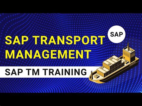 Understanding Sap S4hana Tm Optimizer Settings And Charge Management Galaxy Ai Galaxy Ai