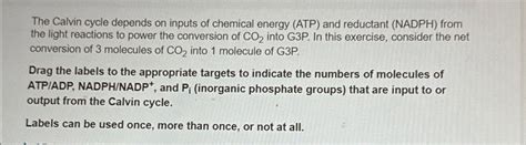 Solved The Calvin Cycle Depends On Inputs Of Chemical Energy