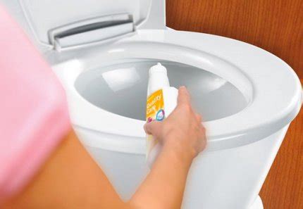 Засорился унитаз: как прочистить от засора самостоятельно в домашних ...