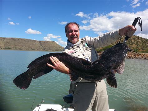 Beste Seisoen Vir Babers For Anglers Digital Angling Network