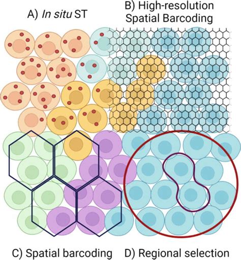 computational solutions for spatial transcriptomics abstract europe pmc