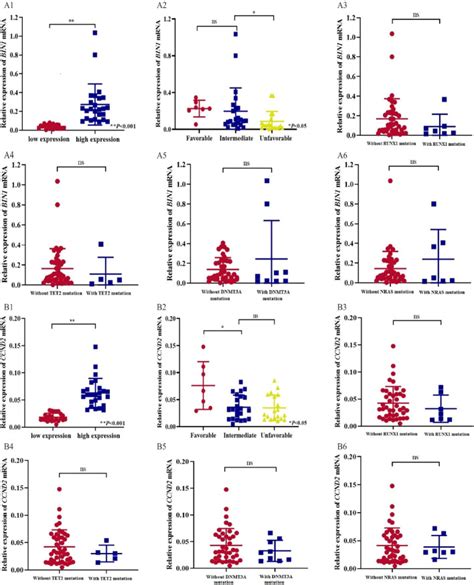 The Prognostic Significance Of The Bin1 And Ccnd2 Gene In Adult Patients With Acute Myeloid