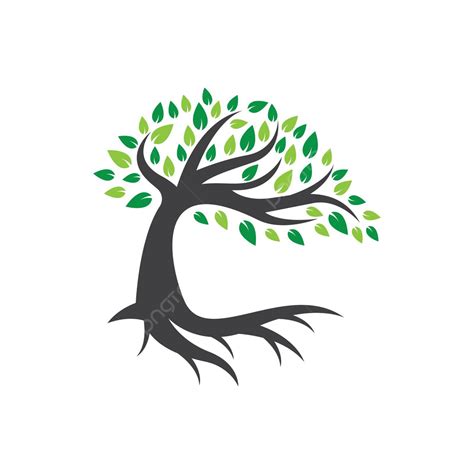 Tree Symbol Vector Illustration Vector Organic Leaf Vector Vector