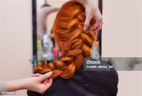 긴 머리를 가진 아름 다운 빨간 머리 소녀 미용사 프랑스 머리를 치 게 되죠 땋은 머리에 대한 스톡 사진 및 기타 이미지 땋은 머리 머리 모양 빨간 머리 Istock