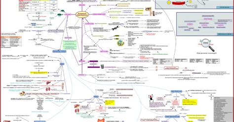 Dyslipidemia Concept Map Pathophysiology Etiology Treatment
