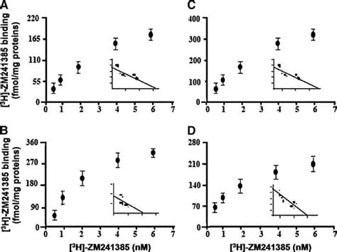 Representative Doseresponse Curves Of 3 H Zm241385 Binding To