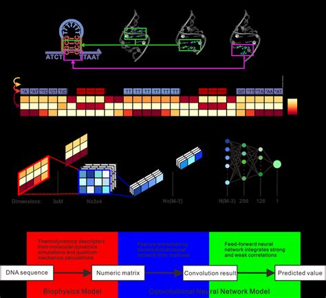 Overview Of The Quantum Chemical Convolutional Neural Network Model