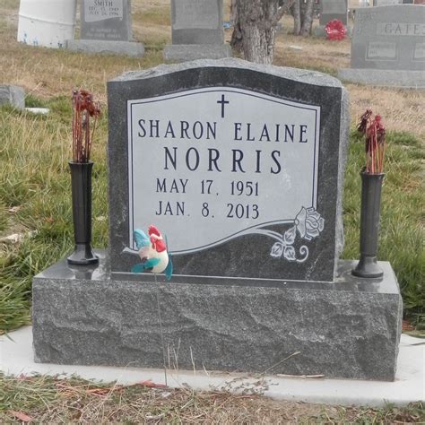 Sharon Elaine Blakeman Norris 1951 2013 Find A Grave Memorial