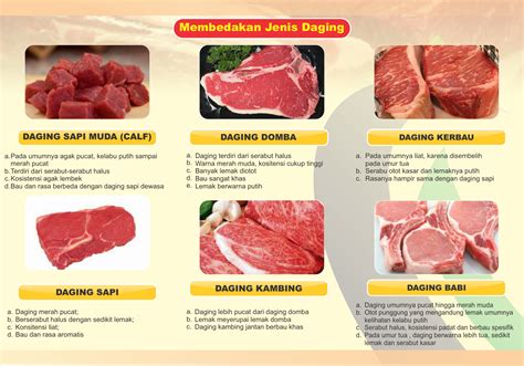 Ide 26 Jenis Jenis Daging Sapi