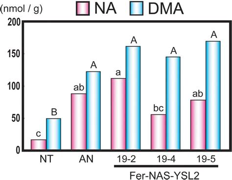 Na And Dma Concentrations In T3 Brown Seeds Harvested From The Paddy