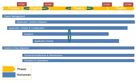 Manage Your SAP Projects With SAP Activate