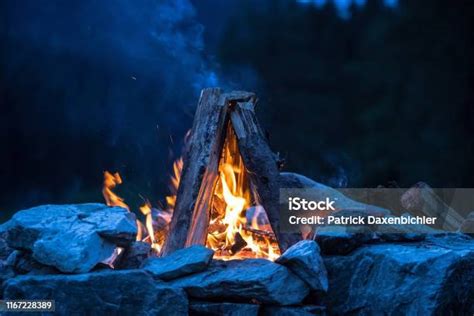 여름에 노란색과 붉은 불꽃캠핑 모닥불 숲 공간을 복사합니다 0명에 대한 스톡 사진 및 기타 이미지 0명 감정 노랑 Istock