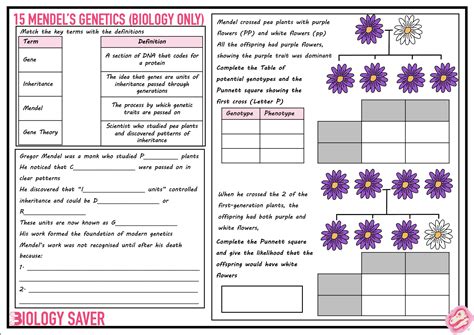 Gcse Biology Revision Mats 15 Genetics And Evolution Teaching Resources
