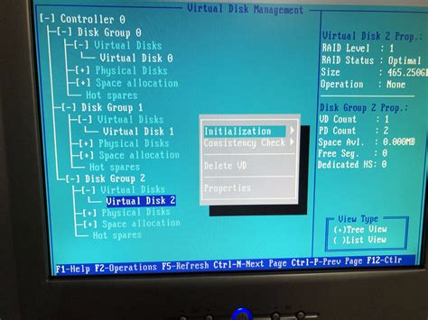 Dell Perc 6i Virtual Disk Setup For Raid