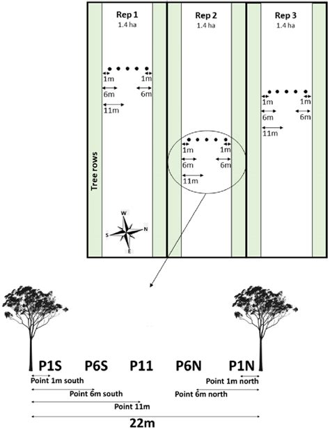 schematic representation of the experimental plots indicating sampling