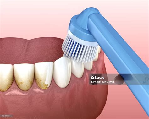 전동 칫솔 청소 치아 흰색에 고립 구강 위생의 의학적으로 정확한 3d 그림 0명에 대한 스톡 사진 및 기타 이미지 0명 디지털 생성 이미지 디톡스 Istock