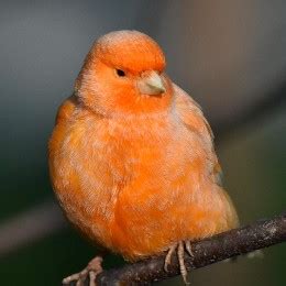 非同期処理と同期処理の適用範囲が適切か