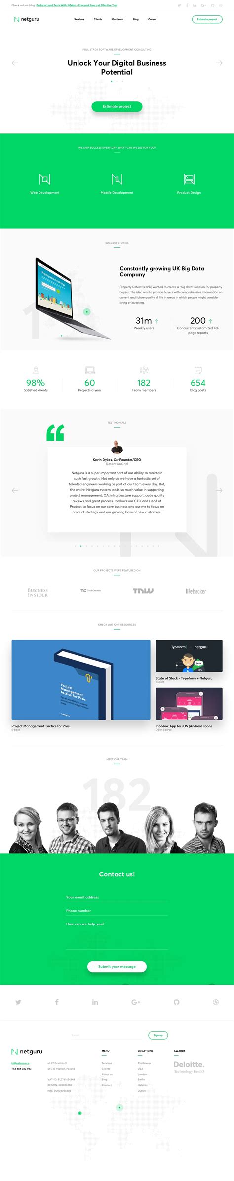 netguru website design lapa ninja