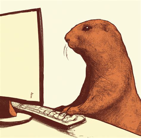 Advanced Go Webassembly Exploring The Go Standard Librarys Wasm
