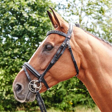 John Whitaker Lynton Flash Bridle With Browbands
