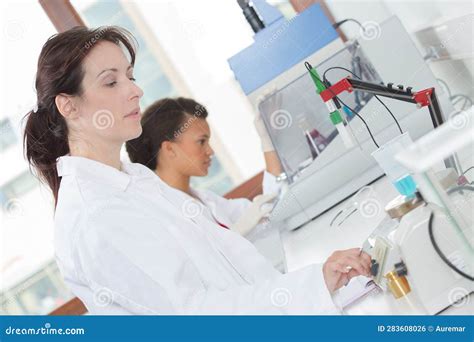 Side View Female Scientists At Work In Laboratory Stock Photo Image Of Biotech Science 283608026